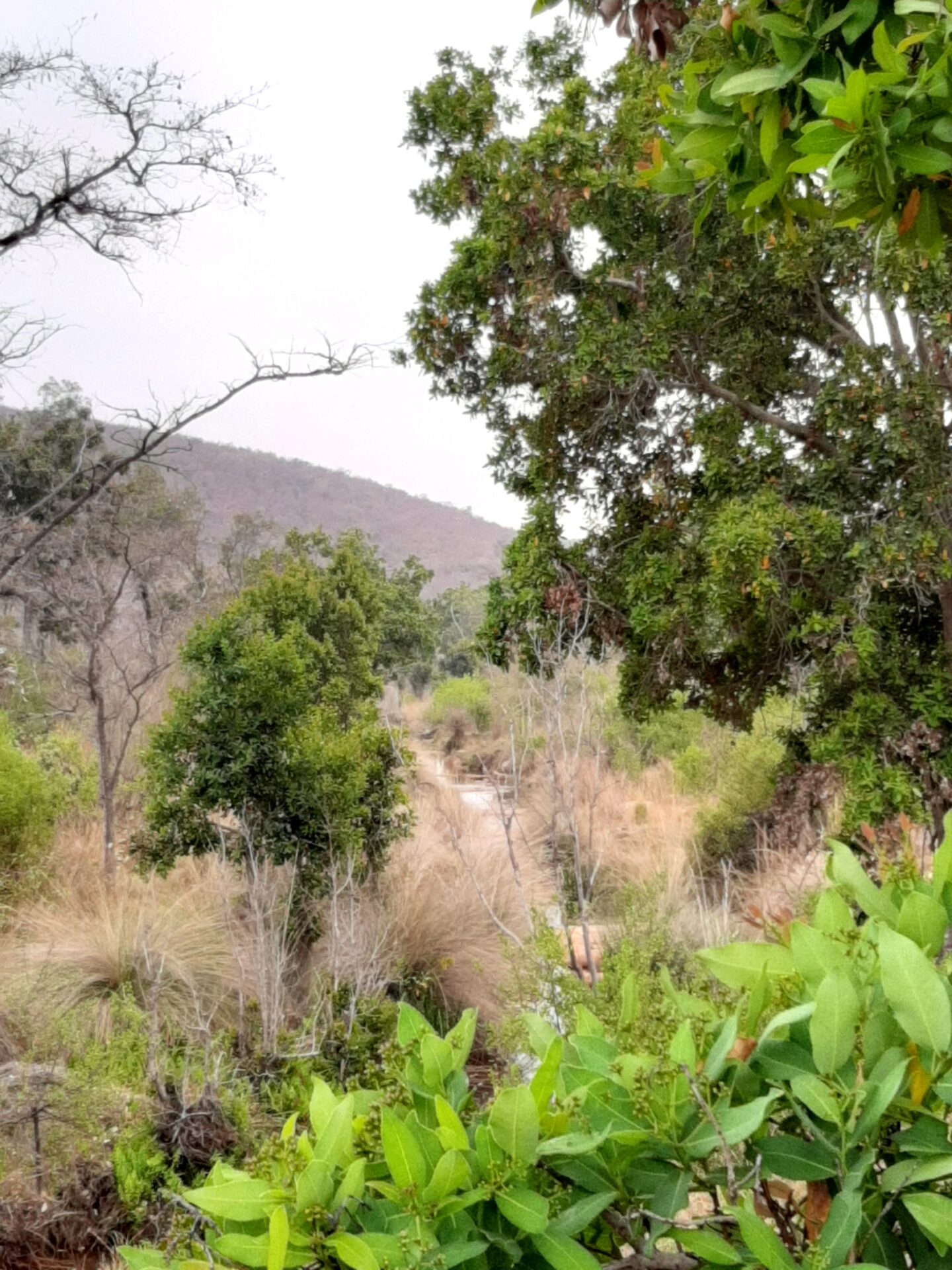 Groot Vyf nie al wat jou asem hier sal wegslaan nie (Mhondoro Safari ...