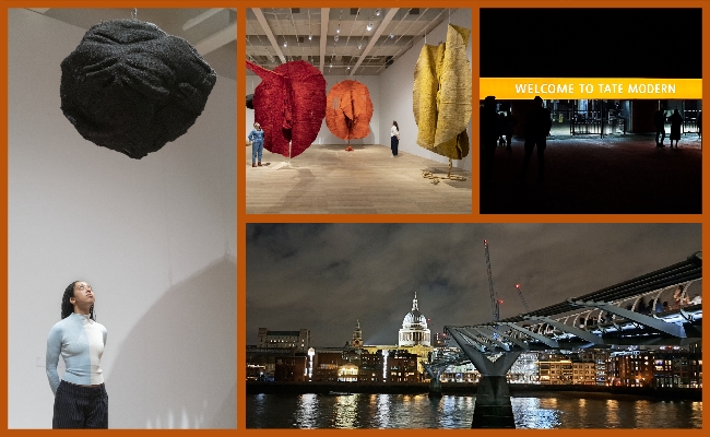 Pionier met wol en vilt in Tate Modern vereer - Voertaal